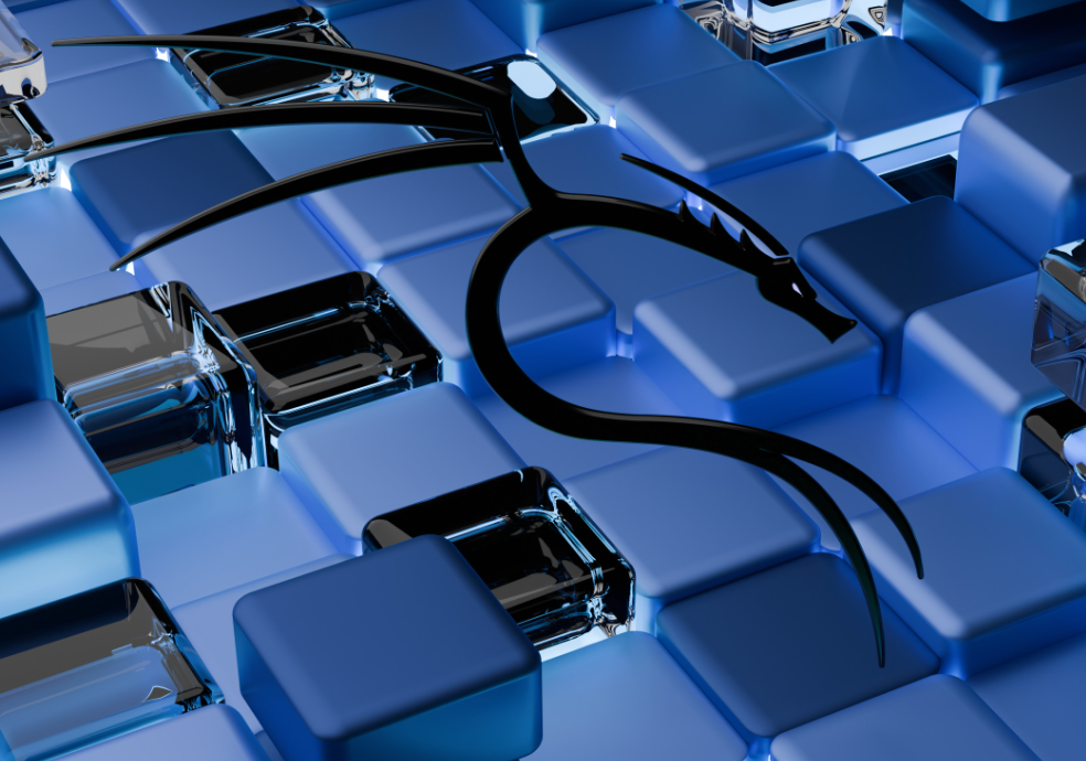Mapping Internal Network Exposure Using Kali Linux and Nmap – Shaun ...